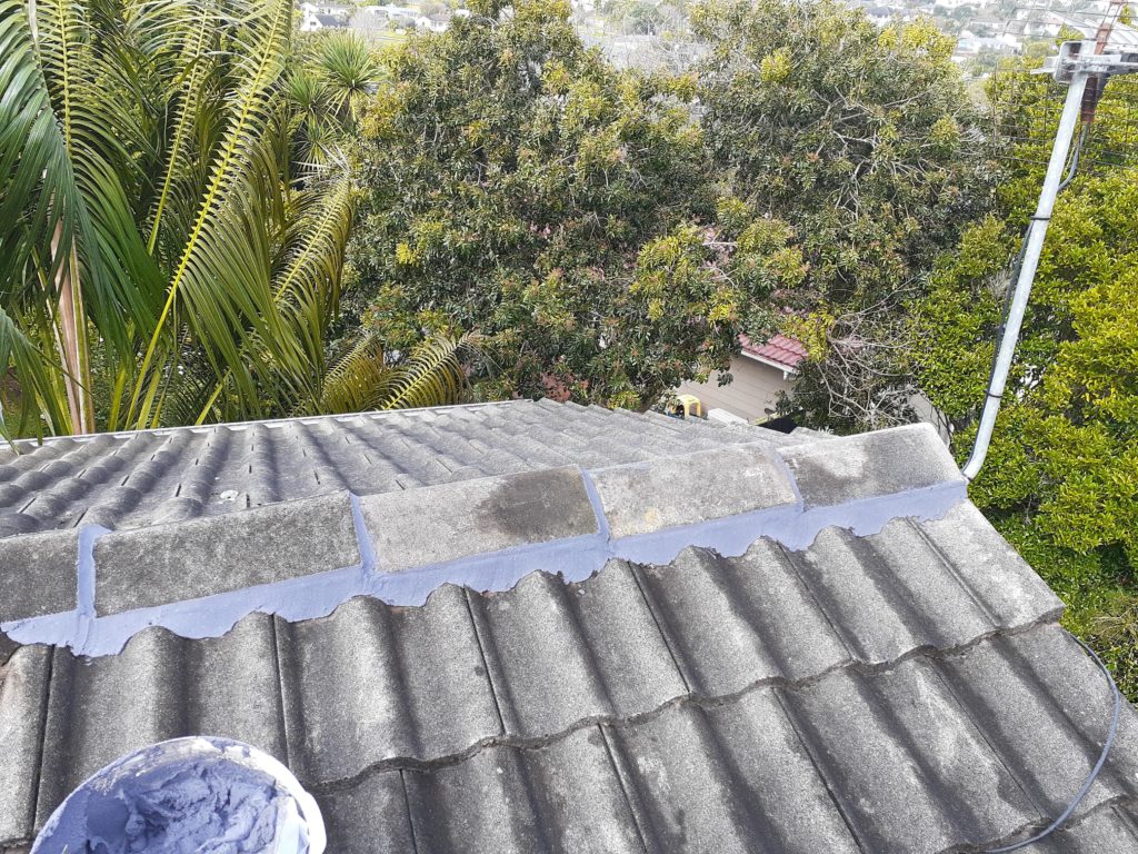 Loose ridge caps repointed | Cowperthwaite Roof Coatings